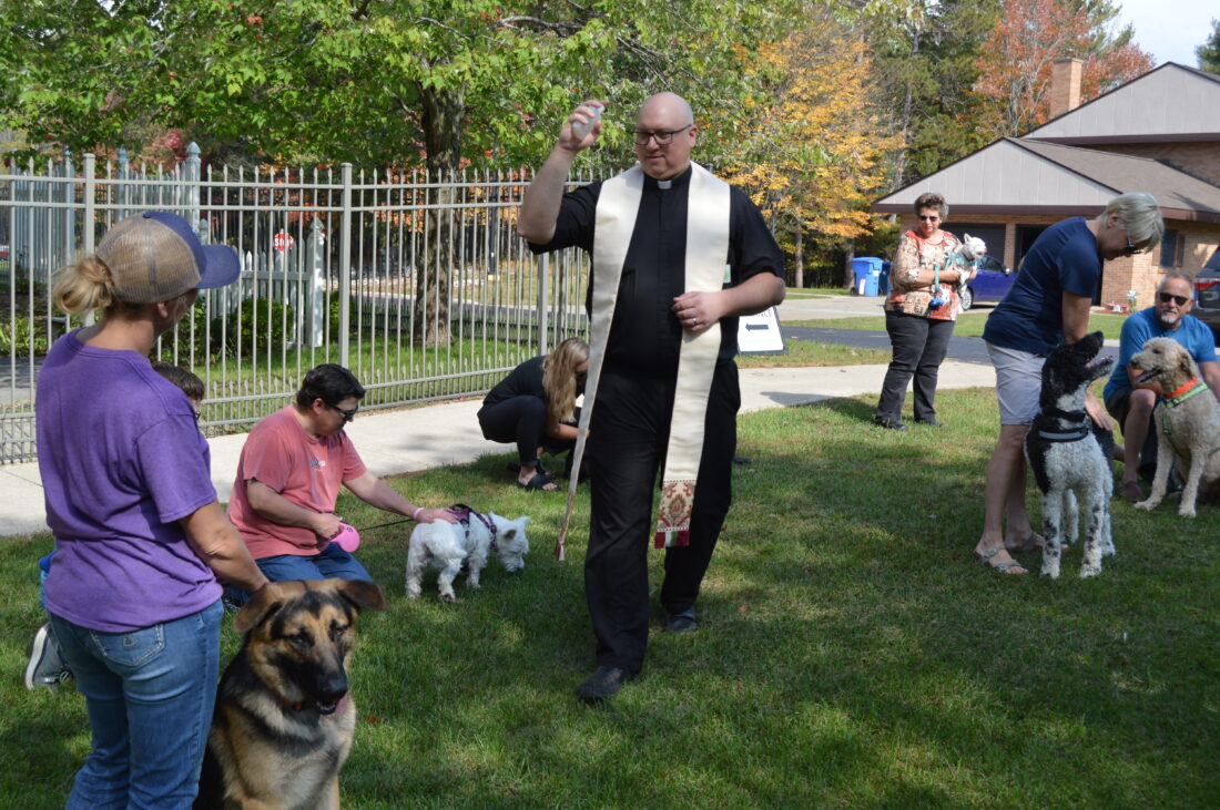 Blessing the animals | News, Sports, Jobs - Daily Press